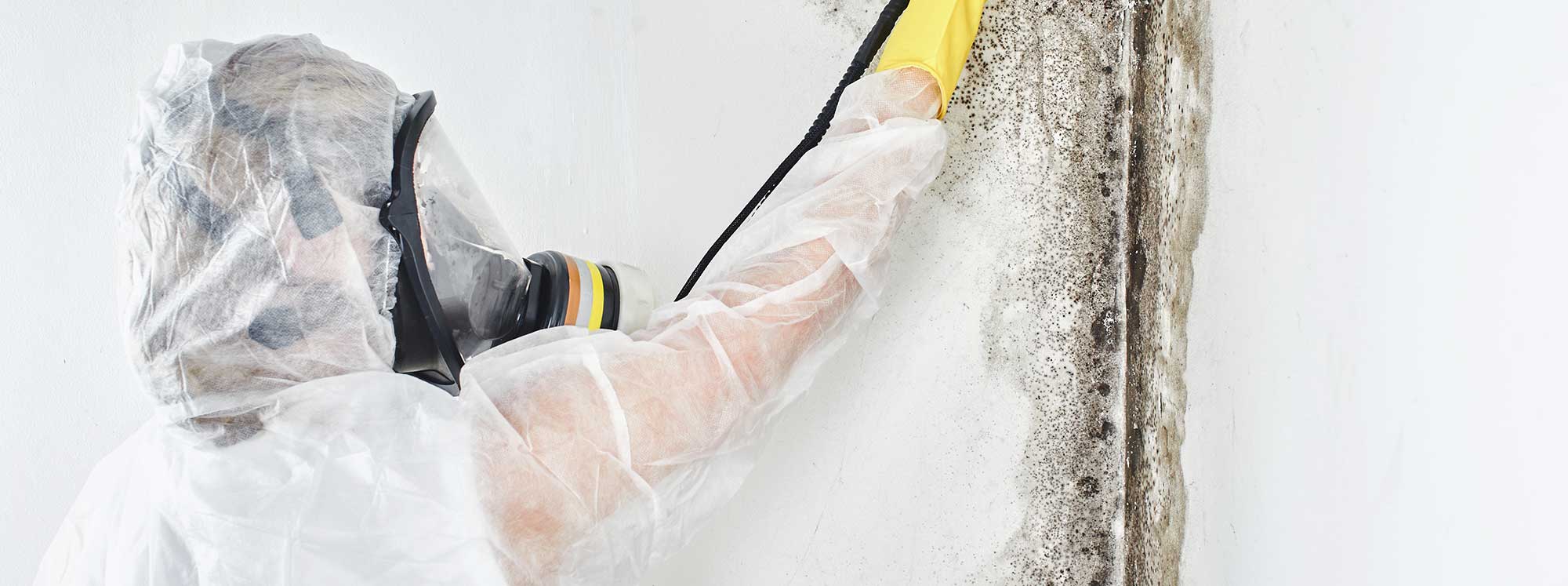 Mold Removal, Clean Up, and Remediation - Pro Environmental Restoration ...